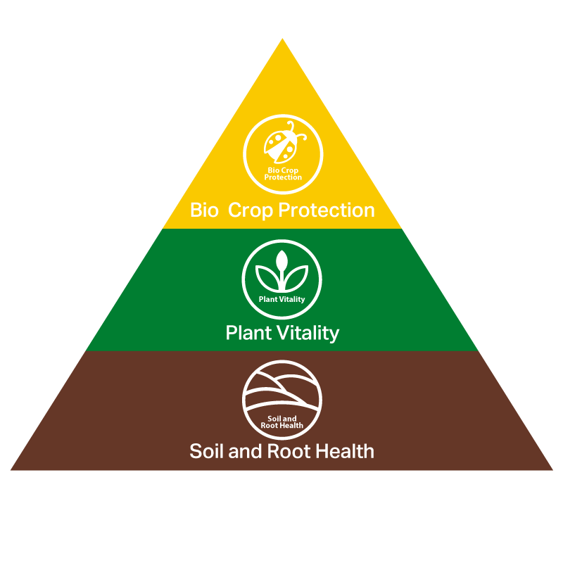 Happy roots = Lots of loot.