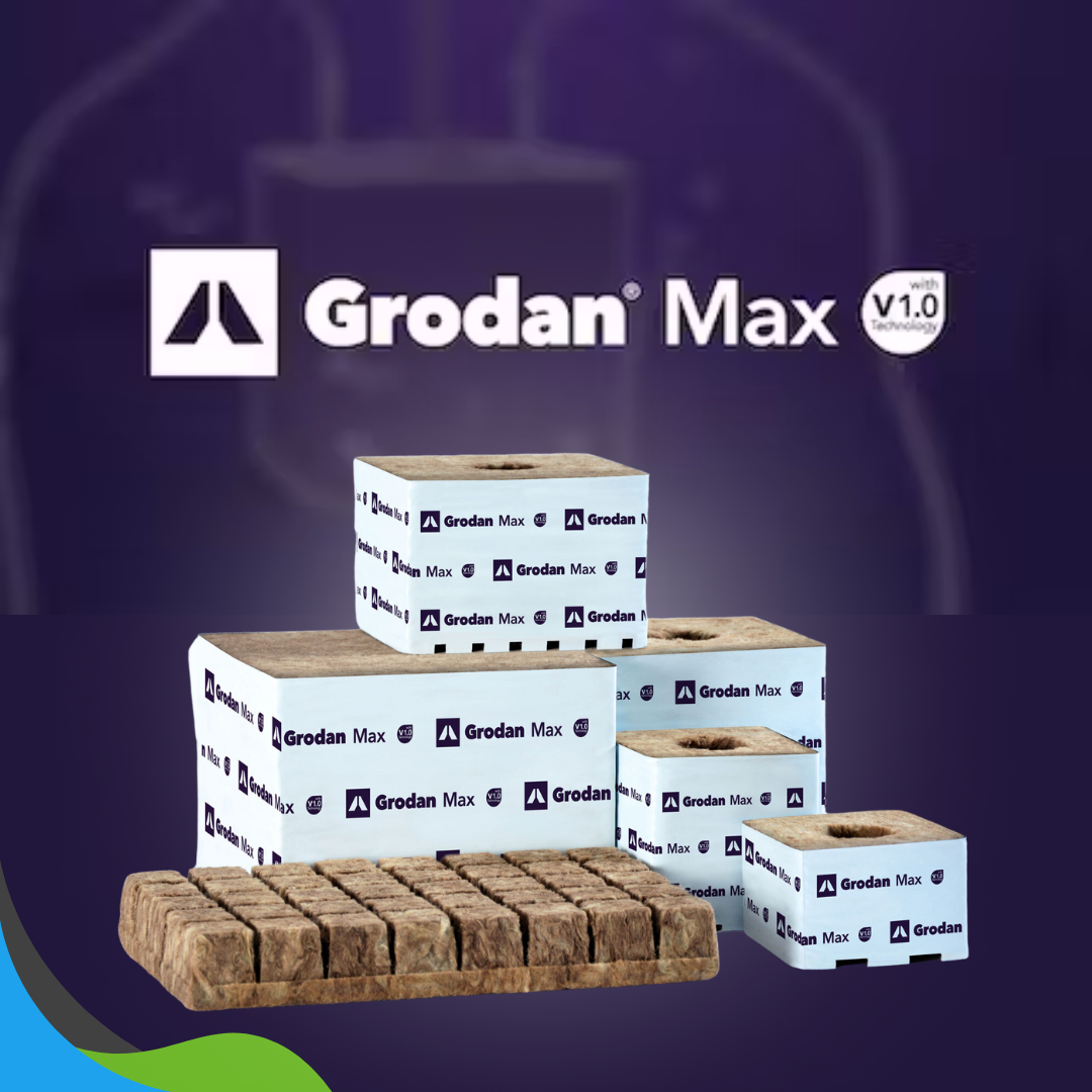 Grodan Max with V1.0 Technology: Specially designed for medical cannab
