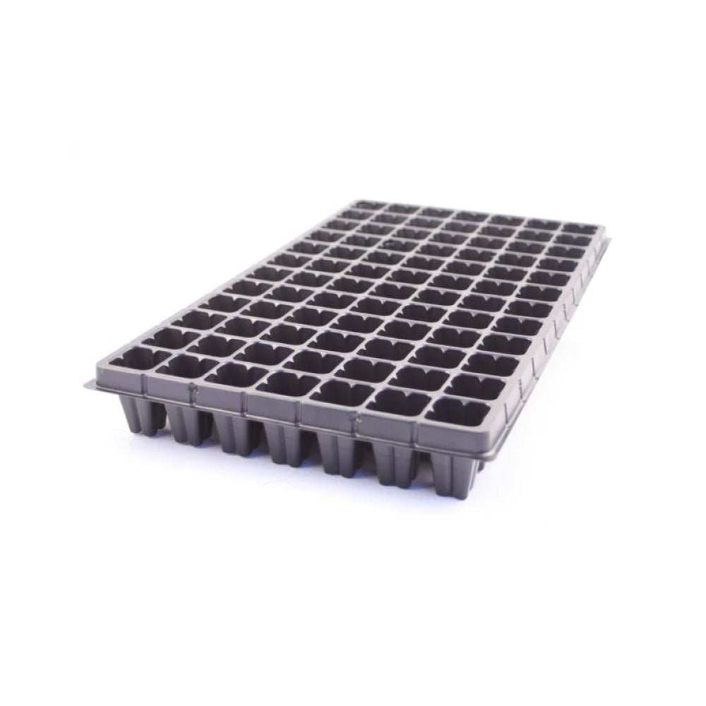 High-Quality Starter Plugs & Trays for Growing | Hydrobiz