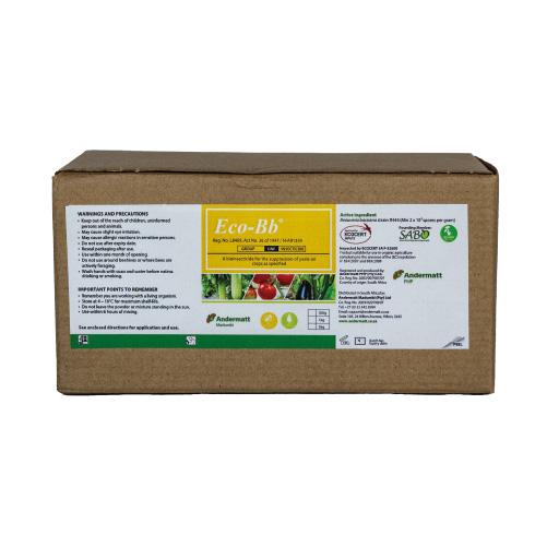 Eco Bb
